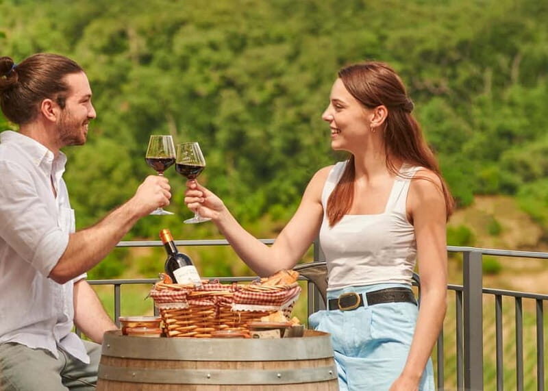 Saint-Emilion: Grand Cru Classé Guided Winery Visit & Picnic