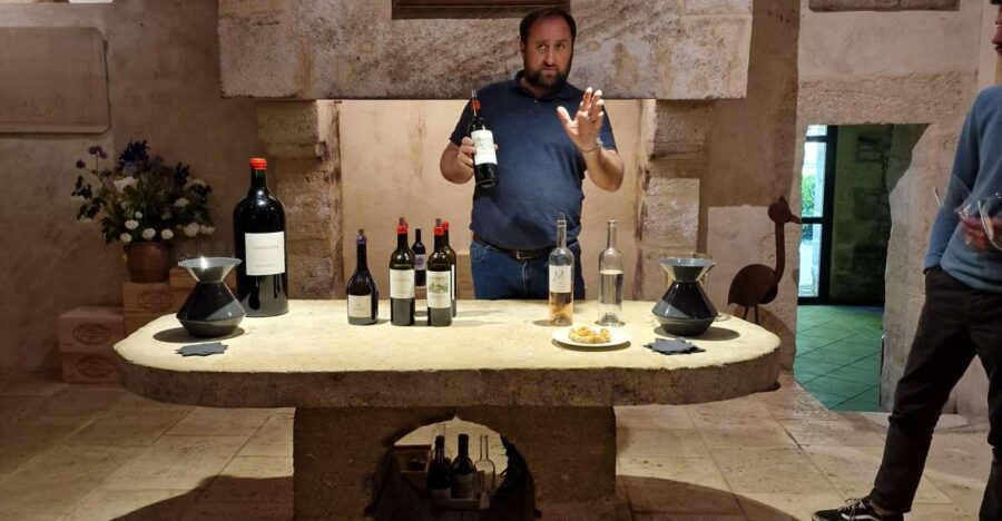 Saint-Émilion: Wine Tour by Electric Bike and Lunch