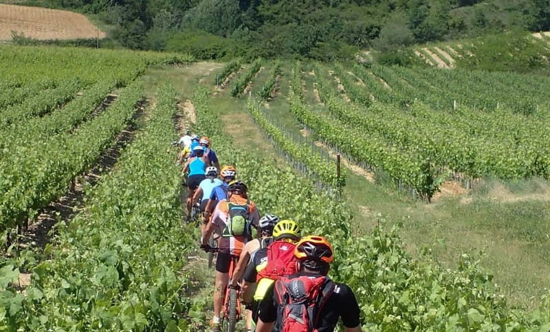 Saint Montan: Electric Bike Wine Tour & Tasting