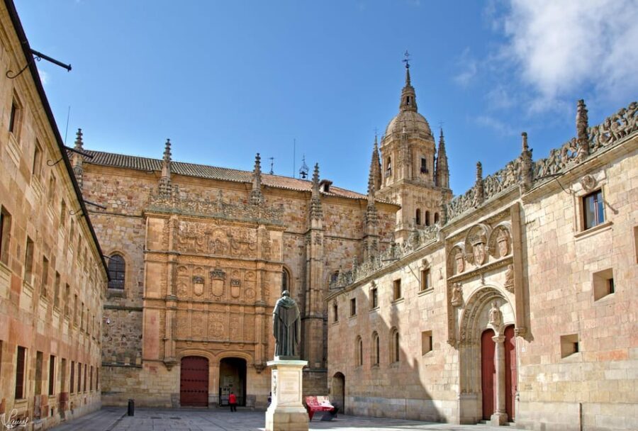 Salamanca: University and Colleges Walking Tour (Private)