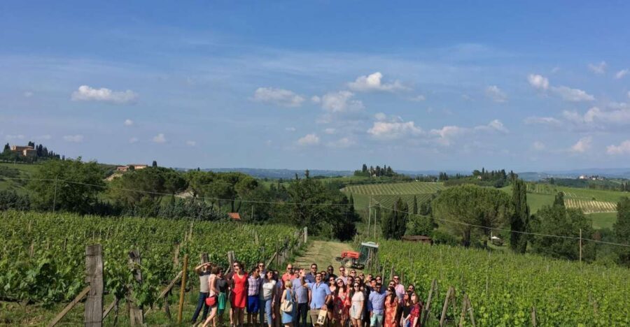 San Gimignano: Premium Wine Tour with Lunch