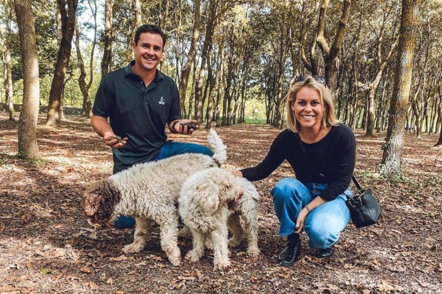 San Gimignano: Truffle Hunting with Lunch & Wine Tasting