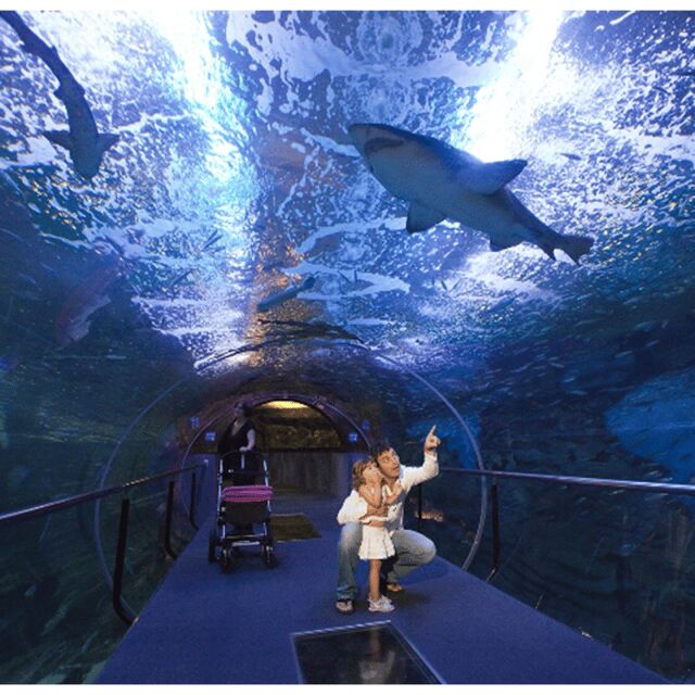 San Sebastian Aquarium Entry Ticket and City Walking Tour