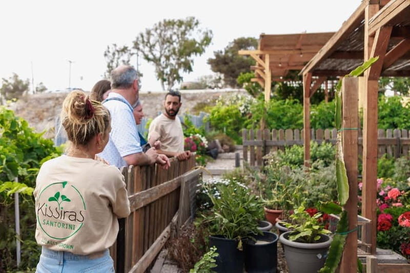 Santorini Sightseeing: Private Tour with Farm Lunch