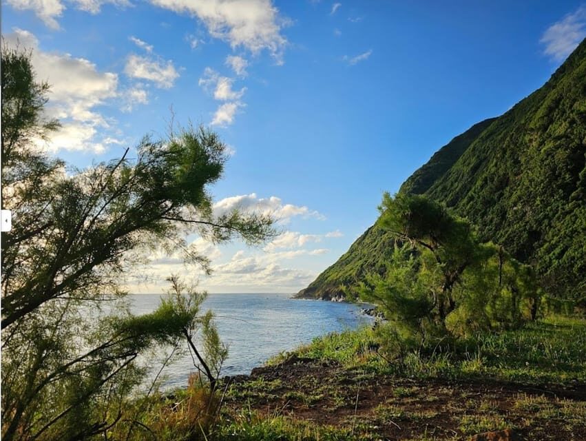 São Jorge: Island, Forest Reserve & Fajãs Guided Tour