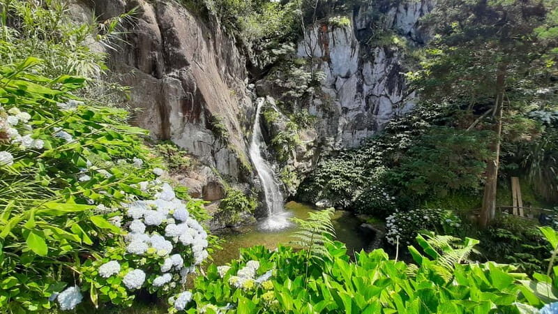 São Miguel Azores: Hike and Snorkeling with a local