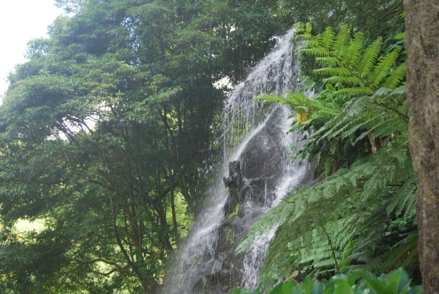 São Miguel: Full-Day Nordeste & Waterfall Tour with Lunch