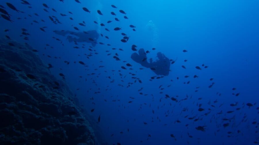Scuba Diving Experience for Beginners In Greece