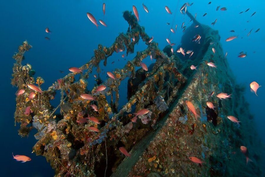 Scuba Diving in Dubrovnik: 1 Dive for Certified Divers