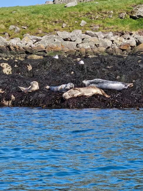 Sea kayaking Killiney beach to Dalkey Island with Pictures