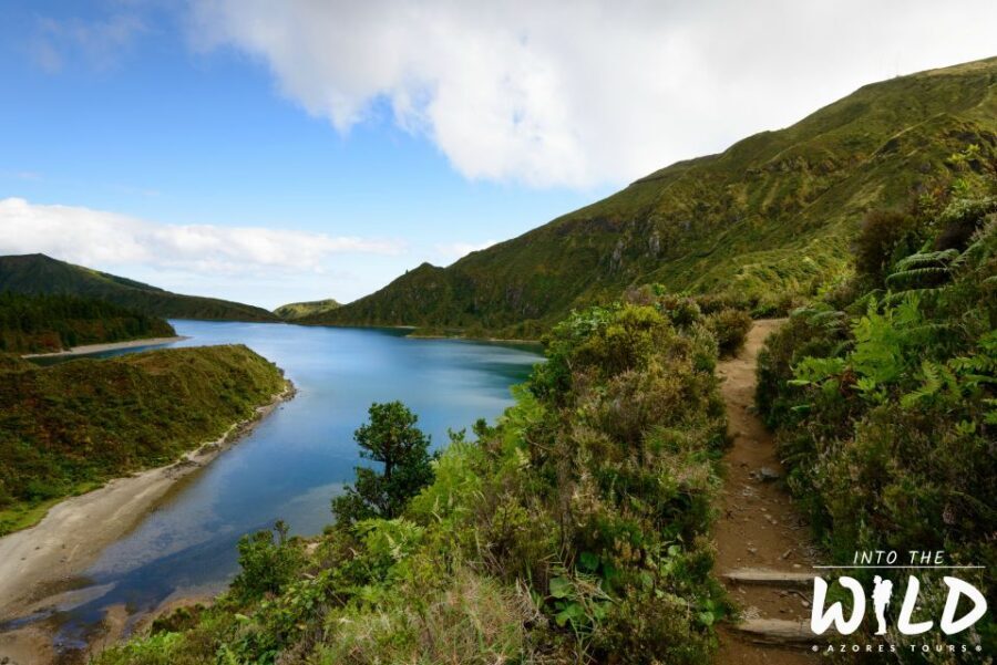 Sete Cidades & Lagoa do Fogo - Full-Day Tour