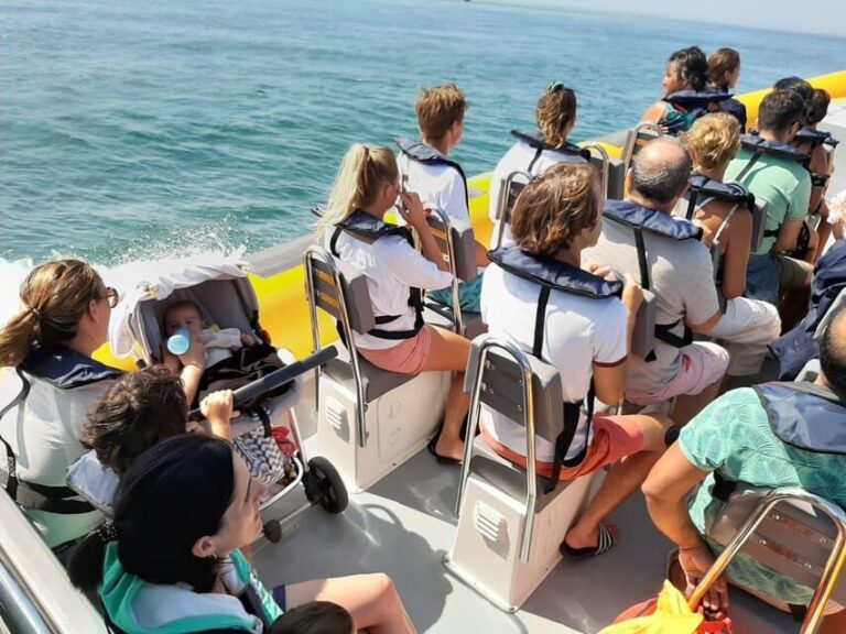 Setúbal and Tróia: Dolphin Watching and Arrábida Bays - The Itinerary in Detail