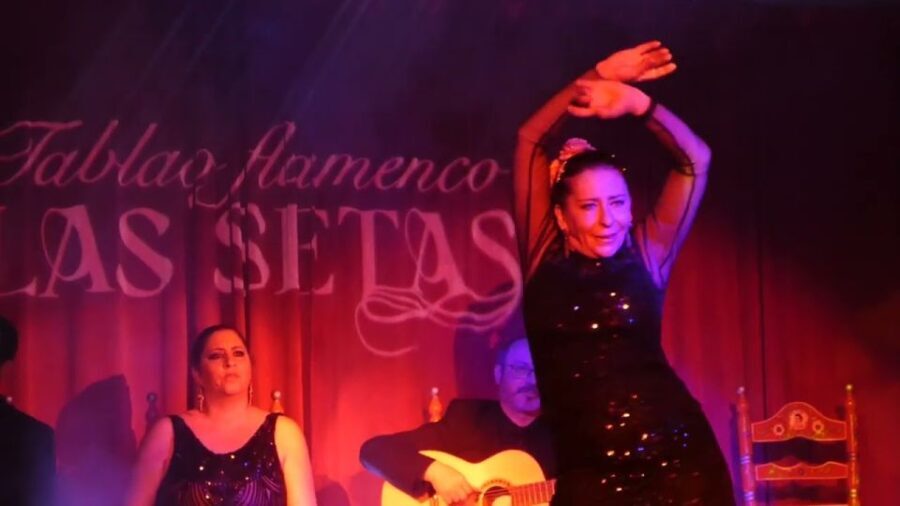 Seville: Flamenco Show & Roof Dinner with Cathedral Views
