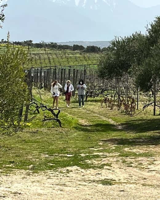 Shuttle & Wine Experience at Lyrarakis Winery