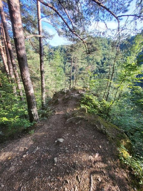 Sibiu: Cindrel Mountains Hike with Traditional Brunch