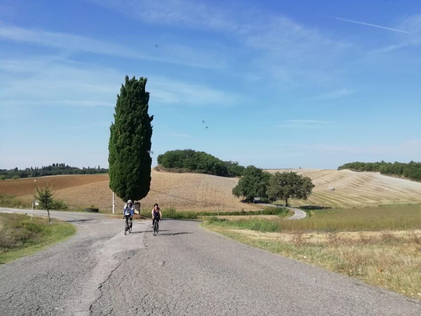 Siena: Chianti Classico Guided Cycling Tour