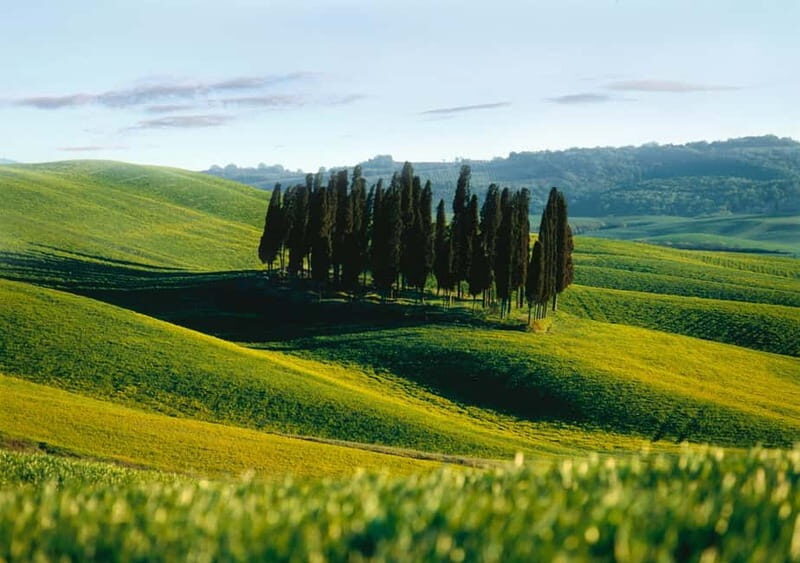 Siena: Guided visit of the city in German
