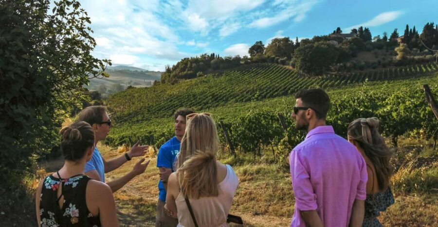 Siena: Organic Winery Tour and Wine Tasting