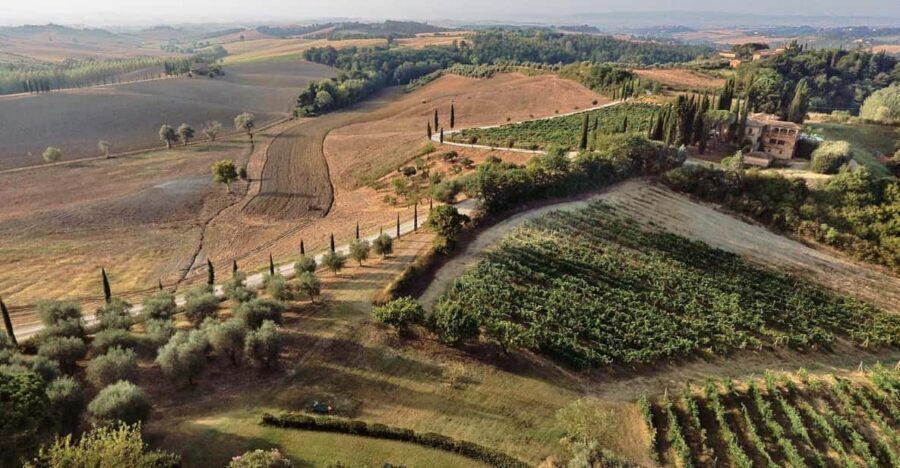 Siena: Winery tour/tasting with owner/maker of awarded wines
