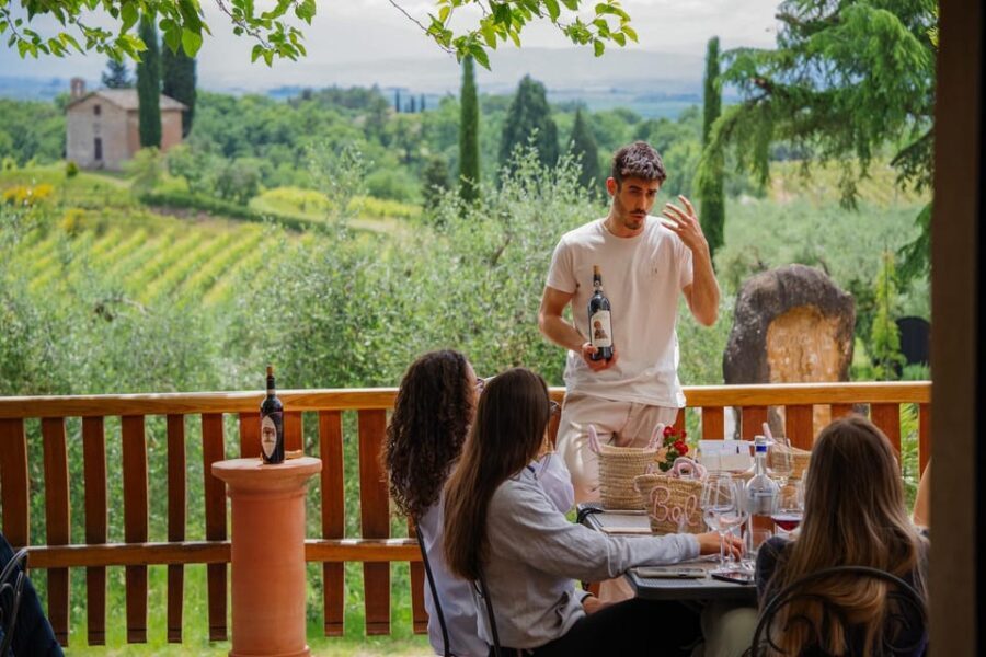 Siena: winery tour, wine tasting and lunch