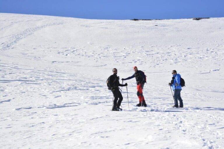 Sierra Nevada: snow tour at 3,000m of altitude - What the Reviews Say
