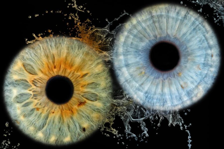 Siracusa Iris Photography Experience