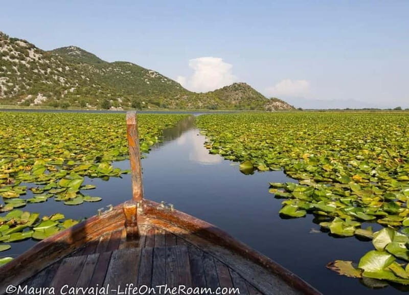 Skadar Lake Boat Tour with Transfer from Podgorica