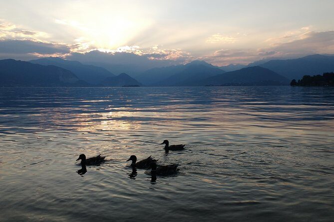 Slow boat tour for small groups with appetizer on Lake Maggiore