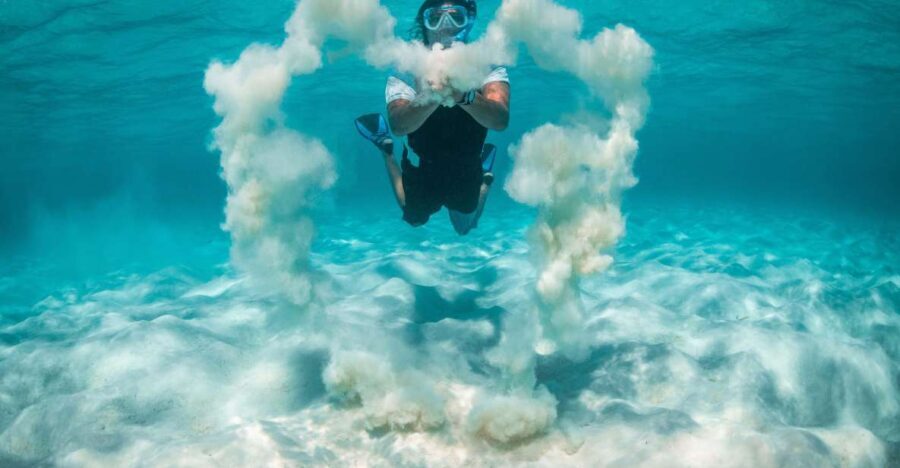 Snorkeling Trips in Amorgos - What to Expect Underwater