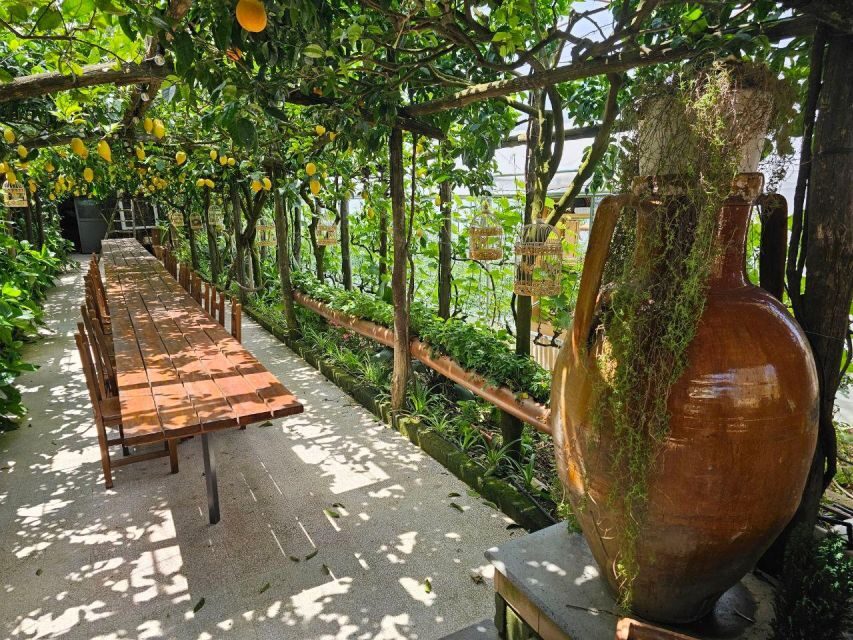 Sorrento Coast E-Bike Tour and Visit at Vinegar Cellar - The Value of This Tour