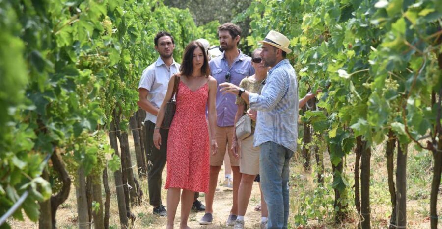 Sorrento: Farm Tour with Cheese Tasting & Pizza Making Class - Why This Tour Offers Great Value