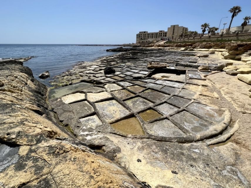 South Coast Private Nature Walking Tour with Transport - A Closer Look at the Experience