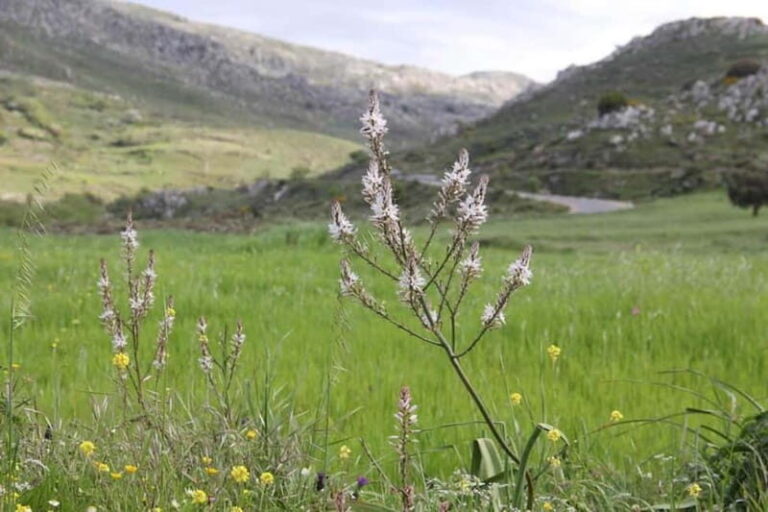 South Crete: Nature Tour to Scenic Villages, Gorges, Lakes - What’s Included & What to Expect