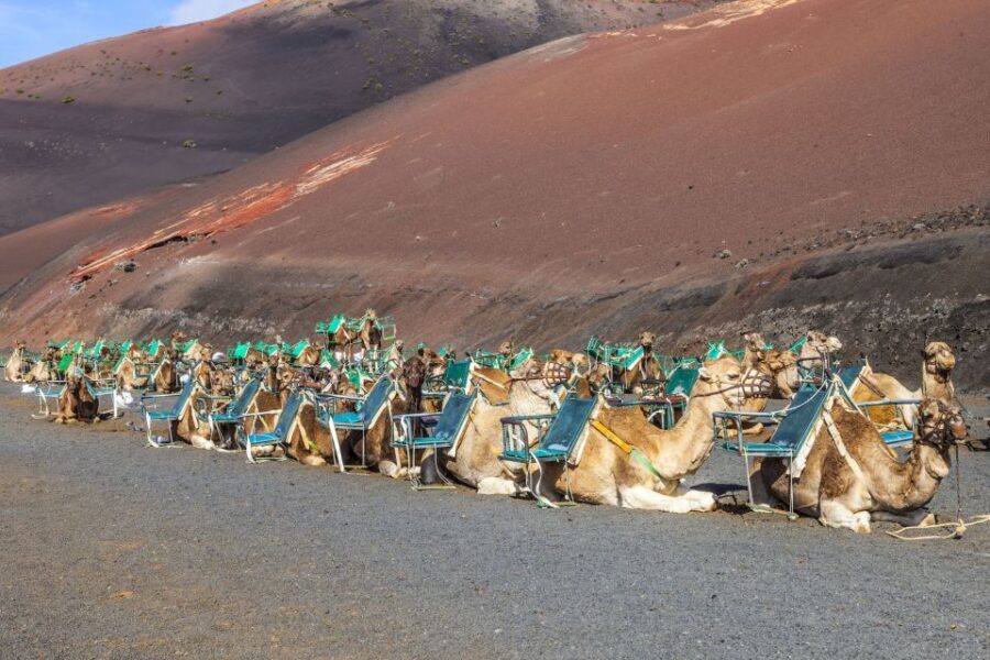 South Tour: Timanfaya National Park