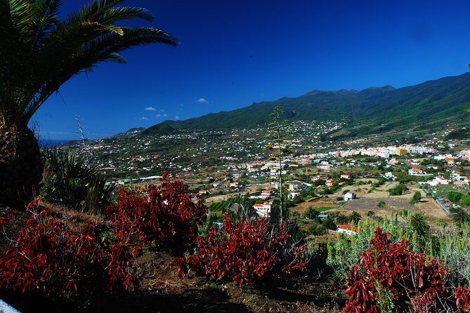 Special cruise tour Center and South La Palma (Price per car not per person)