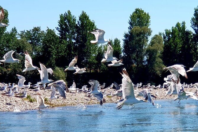 Stand Up Paddle at Skadar lake and Hiking from Valbona to Theth in 4 Days