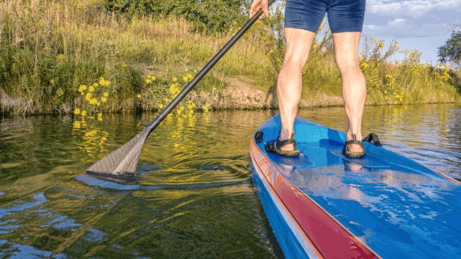 Stand-Up Paddle Tour on the River Vez with guide