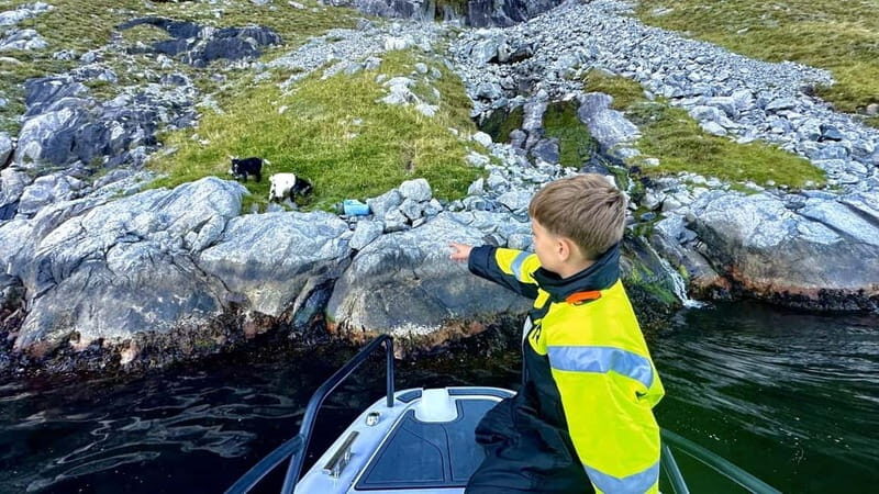 Stavanger: Guided Lysefjord Cruise to Pulpit Rock