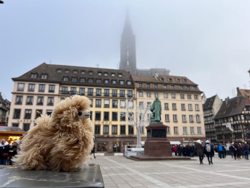 Strasbourg: Colmar, Villages & Castle Private Day Trip