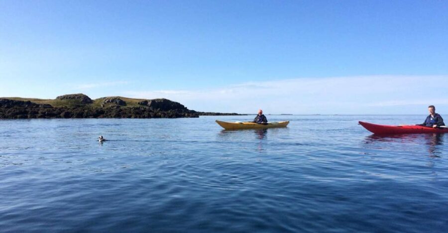 Stykkishólmur: 2-Hour Sea Kayak Tour