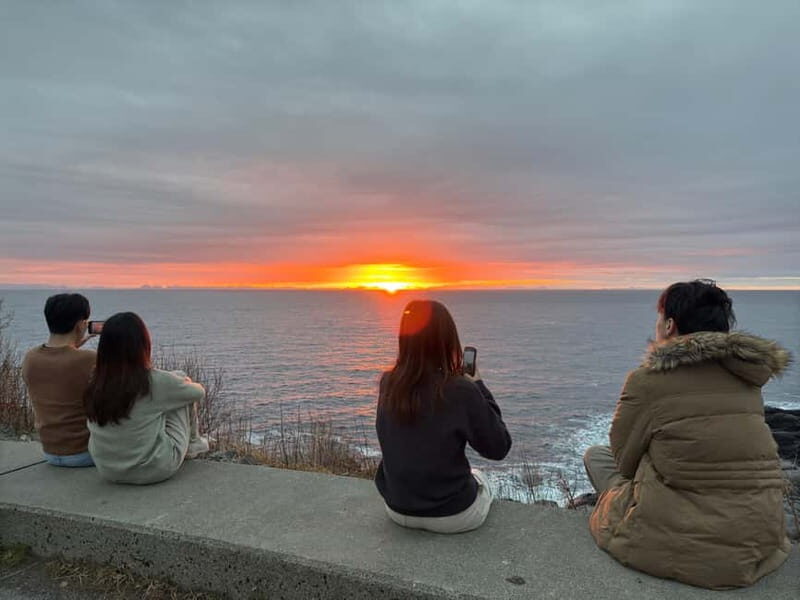 Svolvær: Lofoten Islands Full-Day Guided Tour