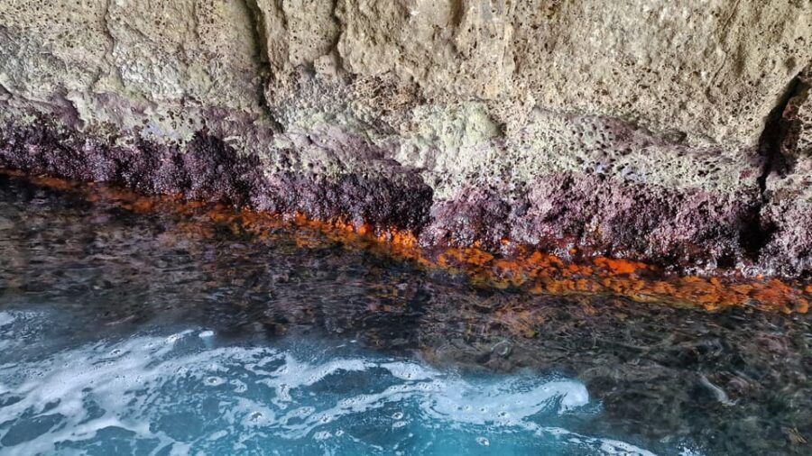 Syracuse: Picnic boat tour of Pillirina, Ortigia & sea caves