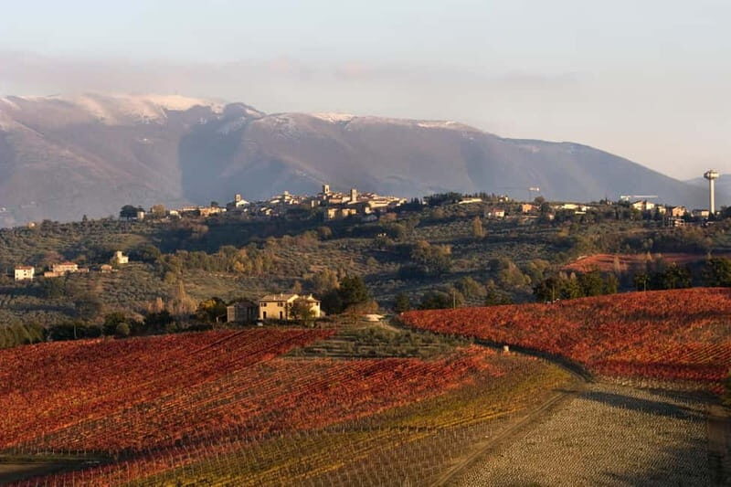 Tasting and tour of the winery