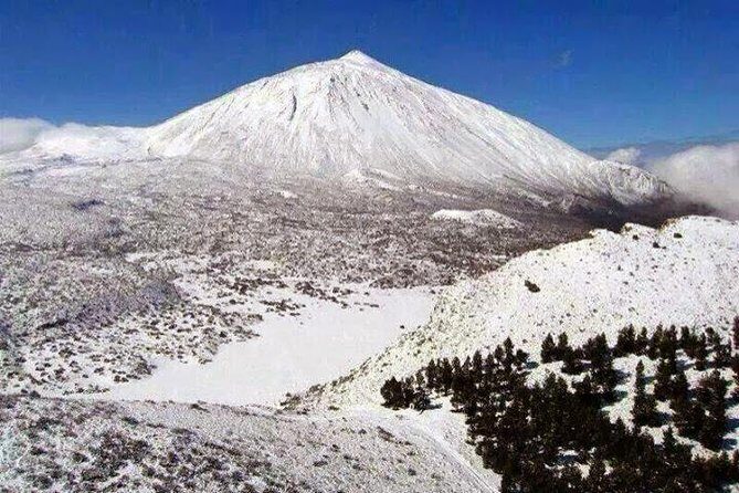 Teide 1/2 Day