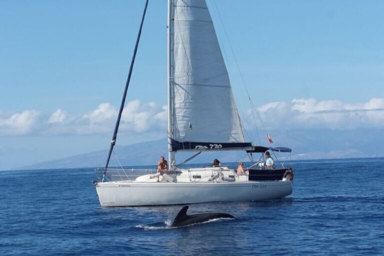 Tenerife: 3 &-6 Hour Private Whale & Dolphin Watching - What We Loved