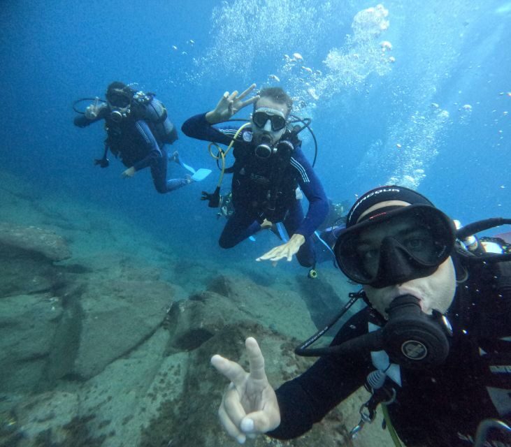 Tenerife: Beginner's Dive at a Spot with Turtle Sightings - How This Tour Shines for Travelers