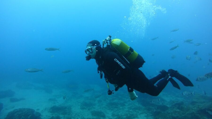 Tenerife: Discover Scuba Diving with Free Photos