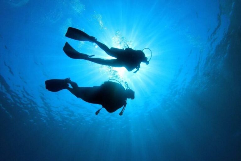 Tenerife: Scuba Diving Experience with Instructor and Gear - Detailed Breakdown of the Experience