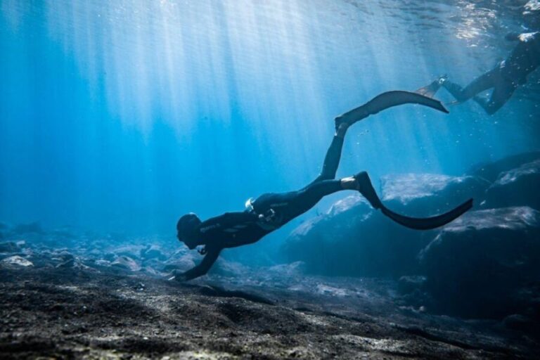 Tenerife : Snorkeling underwater with freediving Instructor - What You’ll Learn and Experience