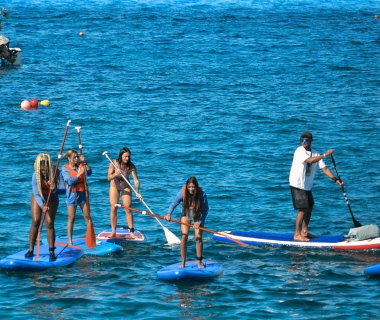 TENERIFE SUR: Paddleboarding tour and SNORKEL